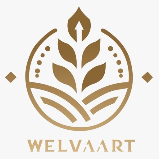 Welvaart Solutions : Innovative Market Entry Strategies, Supply Chain ...